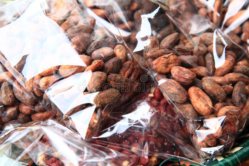 Dried cocoa beans stock image. Image of wooden, cocoa - 108229213
