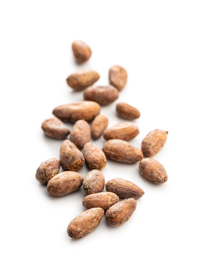Dried cocoa beans stock photo. Image of chocolate, brown - 237346358