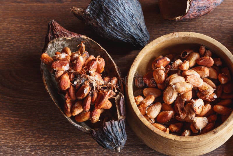 Dried Cocoa Pods and Dried Cocoa Beans Stock Photo - Image of cacao ...