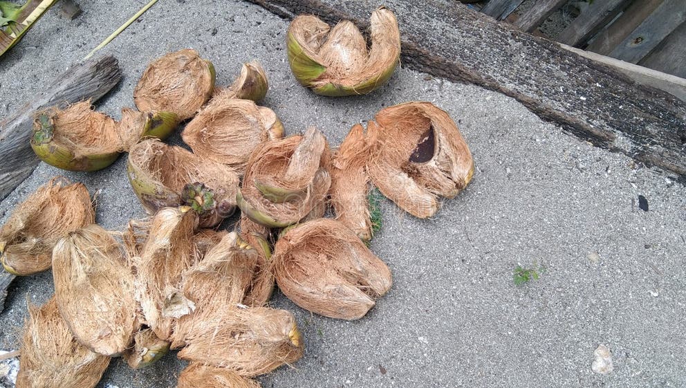 Dried Coconut Belts for Grilling Fish Stock Image - Image of dish ...