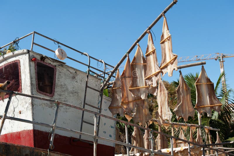 Dried Cod Fish Hanging on a Boat Structure in Madeira. Stock Image ...