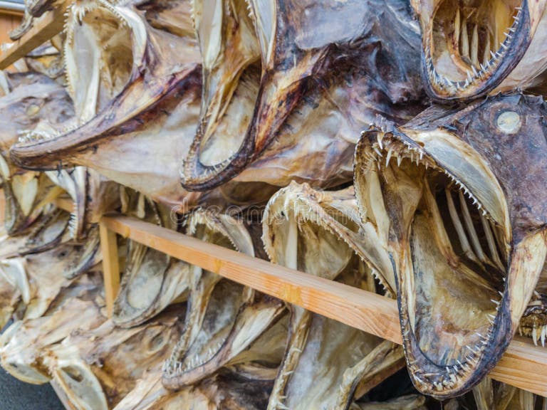 Dried cod heads stock photo. Image of stockfish, pile - 166137480