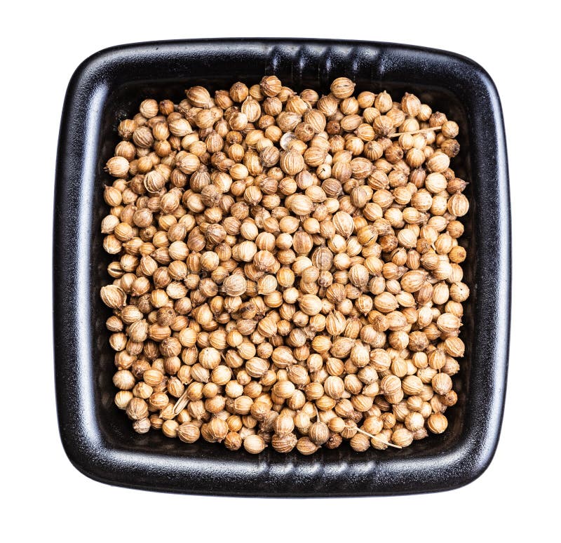 Dried Coriander Seeds in Black Bowl Isolated Stock Image - Image of ...