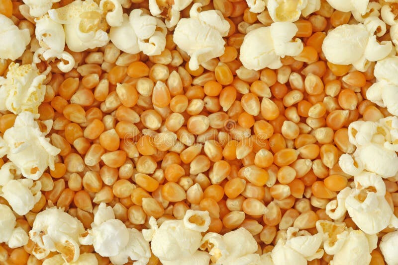 Dried Corn Kernels and Popped Popcorn Stock Photo - Image of tasty ...