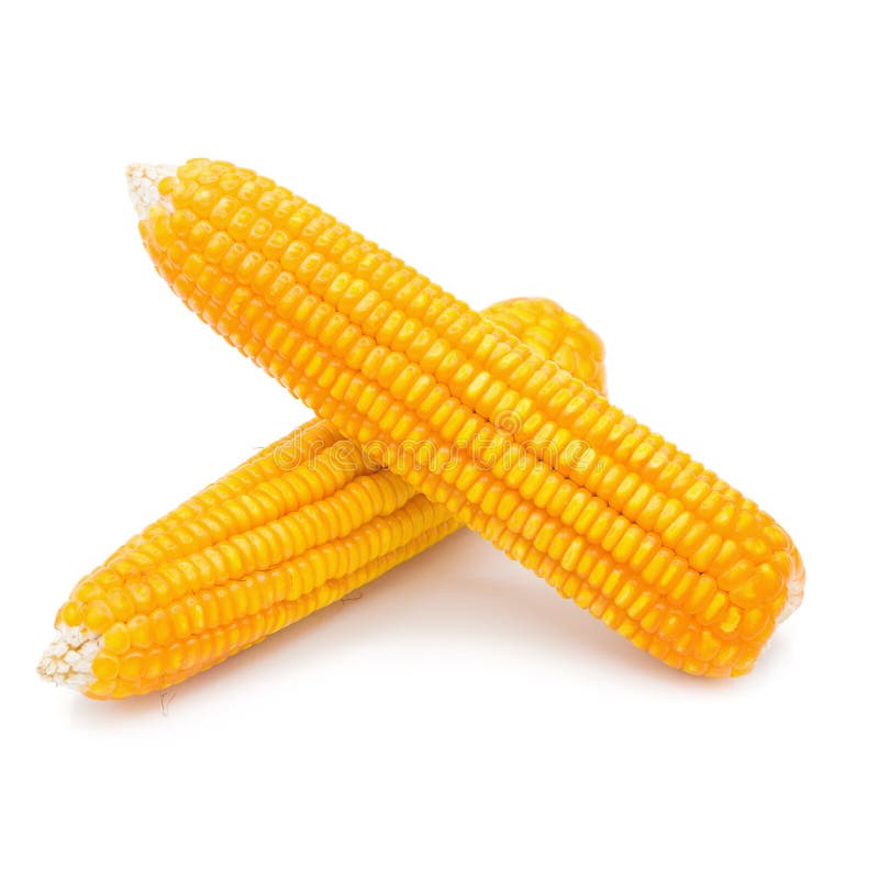 Dried Corn Maize Isolated on the White Background Stock Photo - Image ...