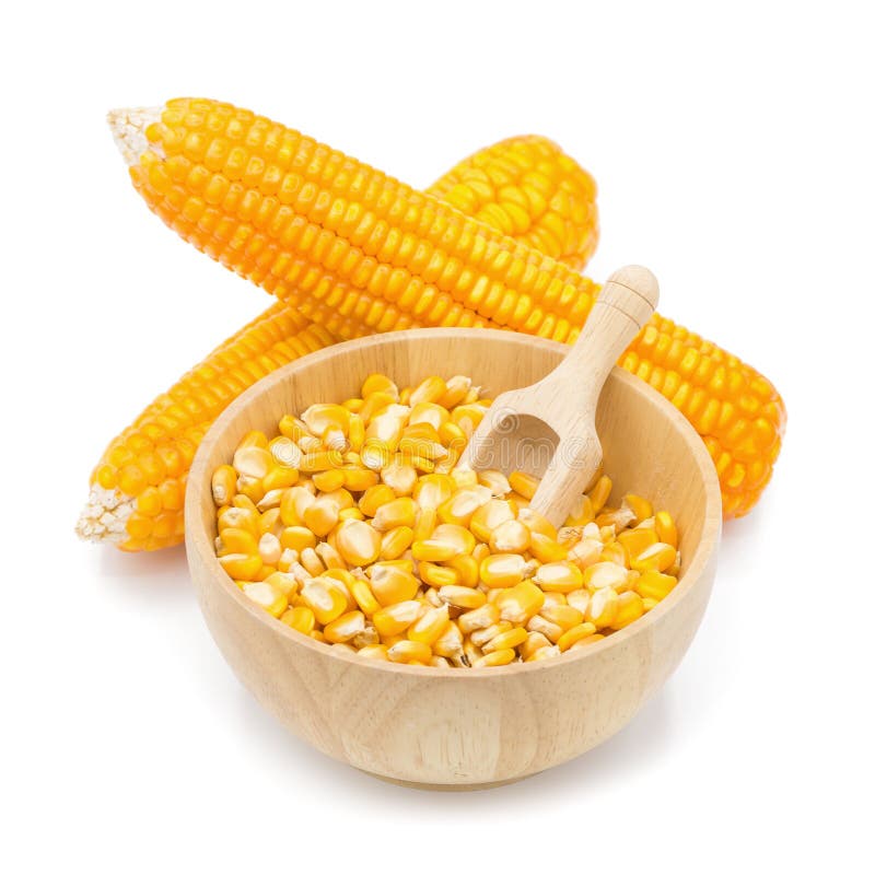 Dried Corn Maize Isolated on the White Background Stock Photo - Image ...