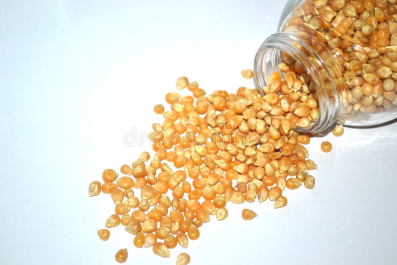Dried corn stock image. Image of luxury, snack, orchid - 47200623