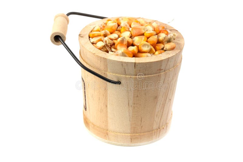 Dried corn seed in Bucket stock image. Image of food - 157706815