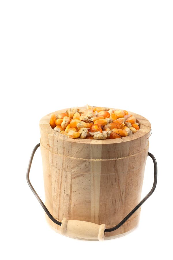 Dried corn seed in Bucket stock image. Image of food - 157706817