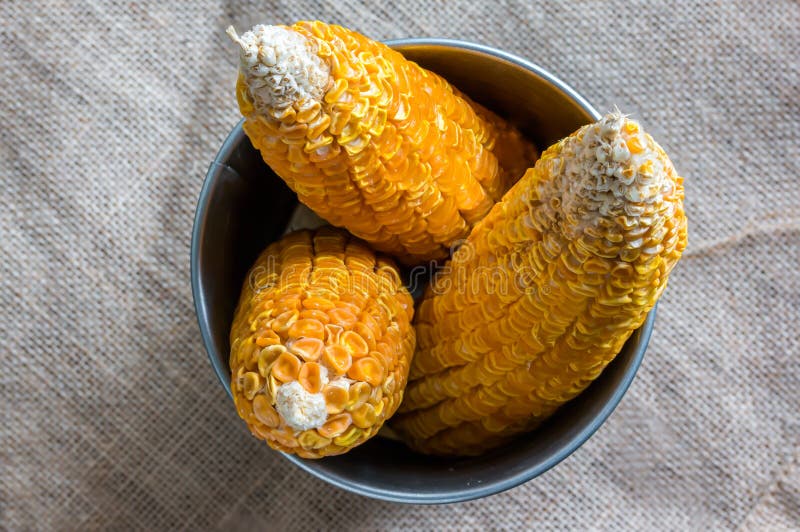 Dried Corn Stalk in bucket stock image. Image of farming - 54958285