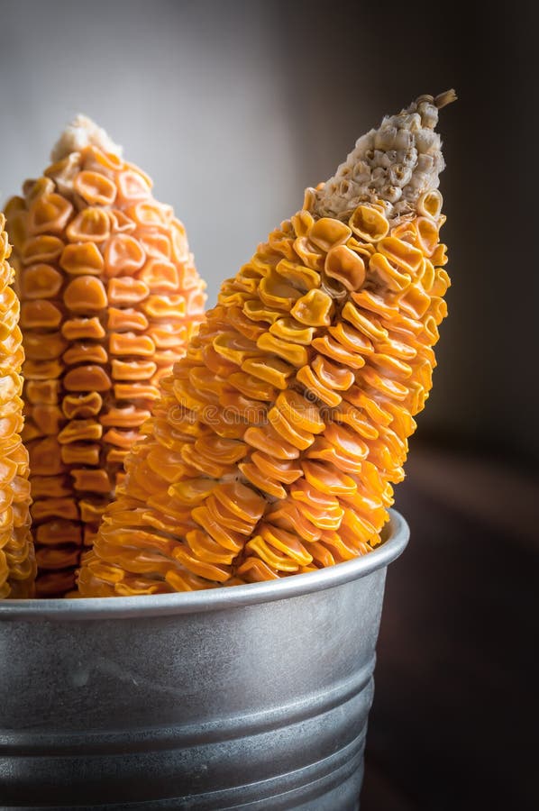Dried Corn Stalk in bucket stock image. Image of farming - 54958285