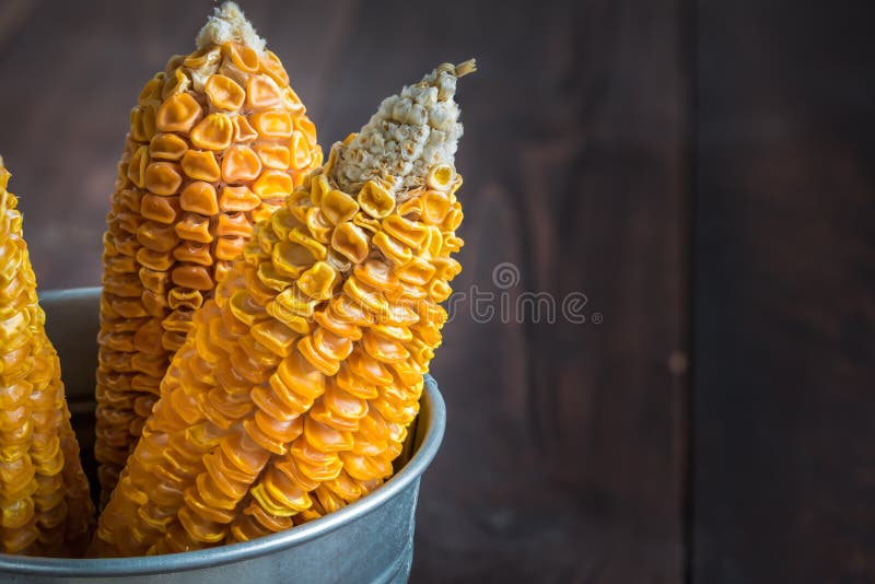 Dried Corn Stalk in bucket stock image. Image of snack - 54905161
