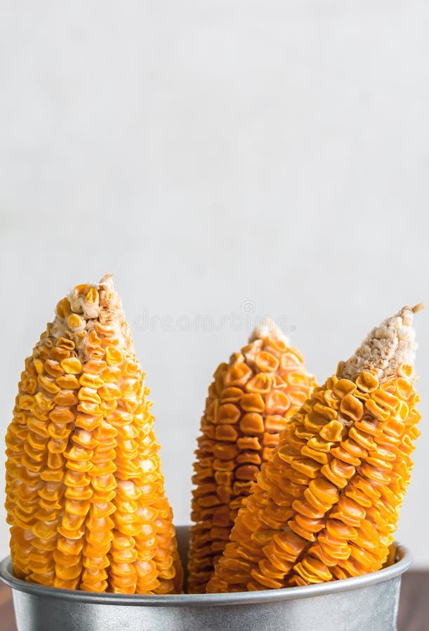 Dried Corn Stalk in bucket stock photo. Image of dried - 55120348