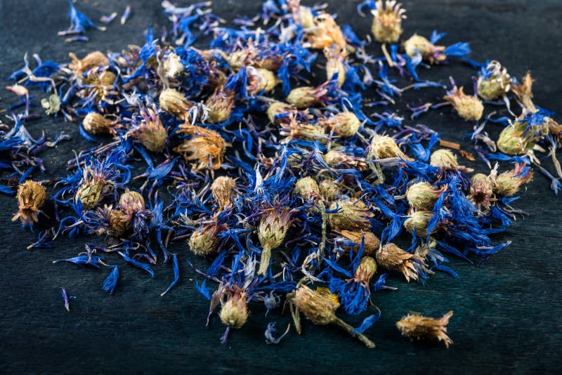 Dried cornflower tea stock photo. Image of bunch, leaves - 69077682