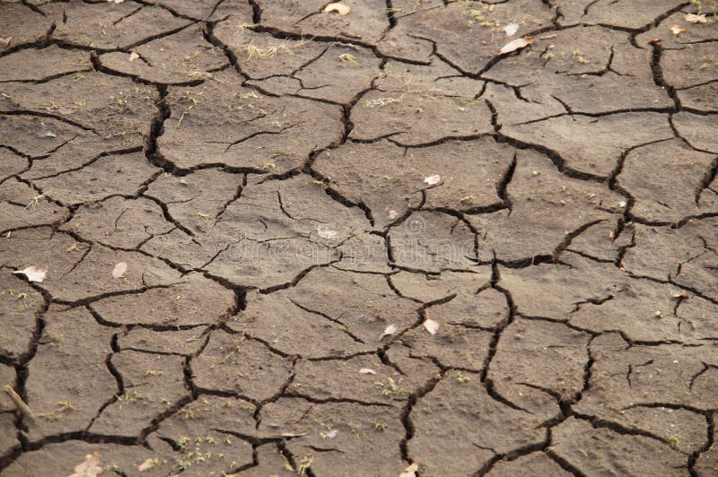 Dried crack muddy ground stock photo. Image of crack - 265614416