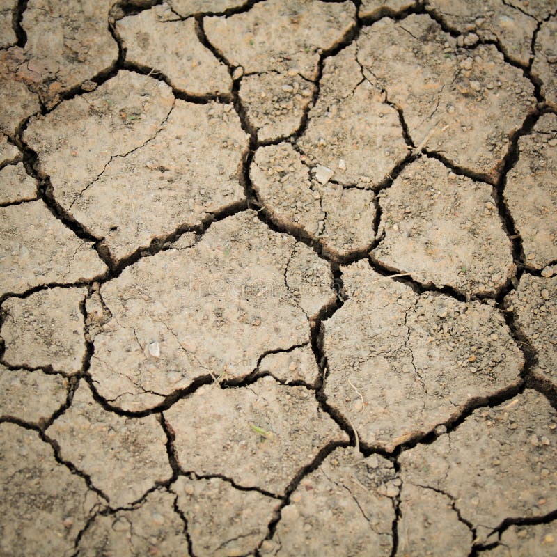 Earth (mould humus) stock photo. Image of background - 25015932