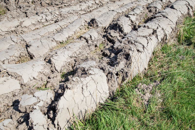 Dampened soil with grass stock image. Image of geology - 179714699