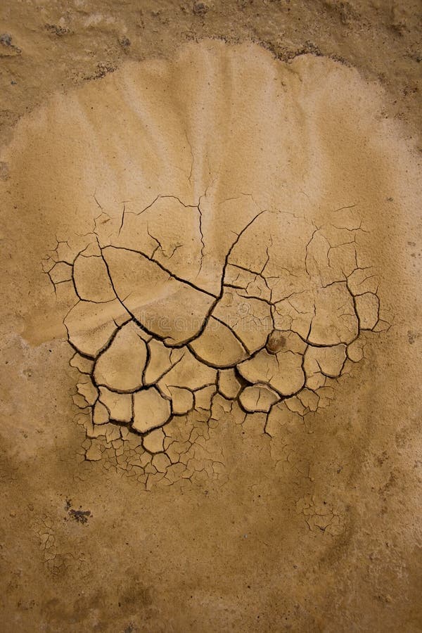Dried and cracking sand stock photo. Image of earth, dead - 12895778