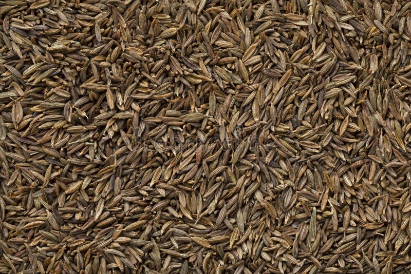 Dried Cumin Seed Close Up Full Frame Stock Photo - Image of close ...