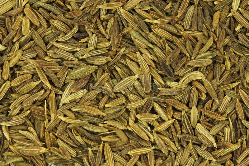 Dried Cumin Seeds Background Stock Image - Image of cumin, texture ...