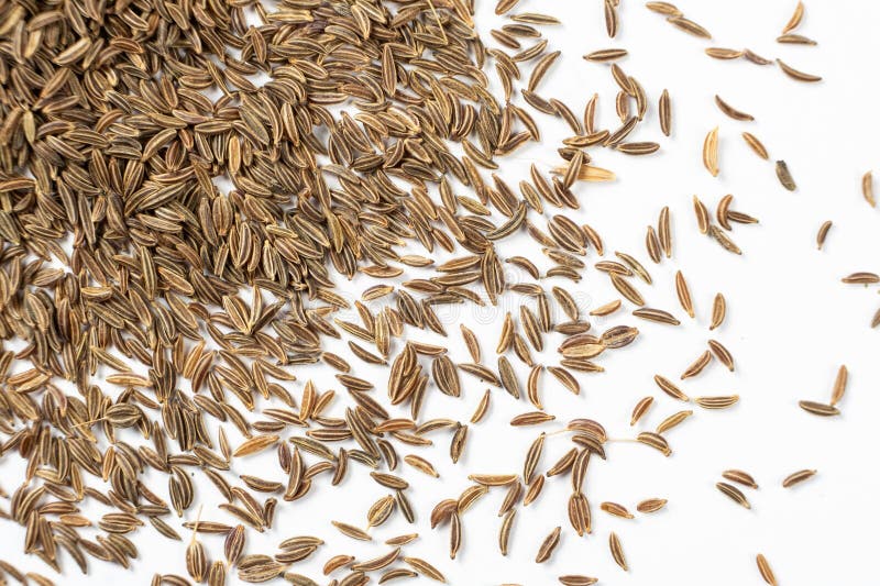 Dried Cumin Seeds Close-Up Culinary Ingredient on White Background ...