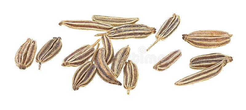 Dried Cumin Seeds Isolated on White Background, Macro. Spice Cumin ...