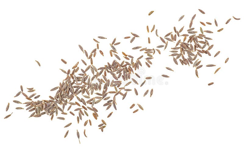 Dried Cumin Seeds Isolated on White Background, Top View. Persian Cumin ...