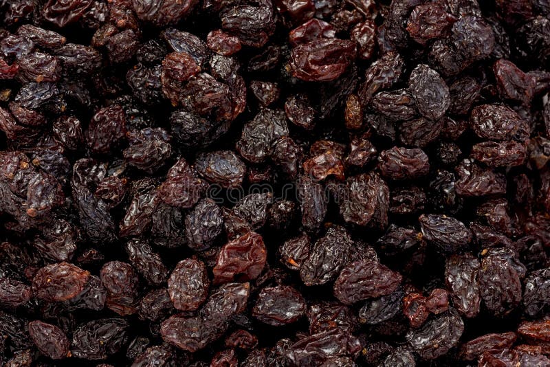 Dried red currants stock photo. Image of snack, sweet - 30132078