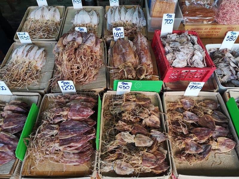 Dried Cuttlefish of Different Sizes in Chinatown Bangkok Stock Image ...