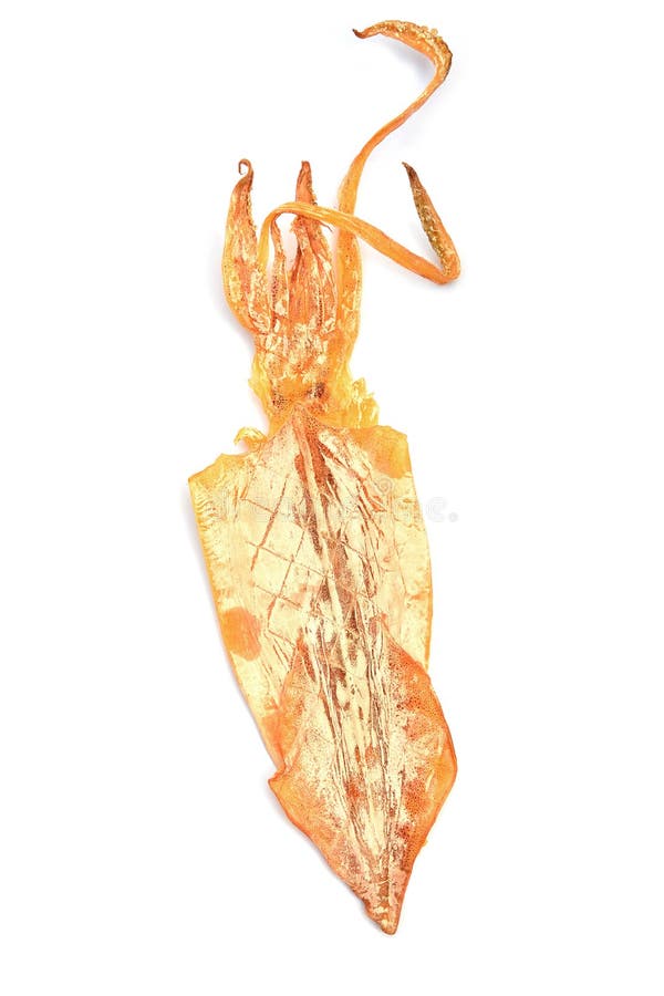 Dried Cuttlefish isolated stock photo. Image of prepared - 69127884