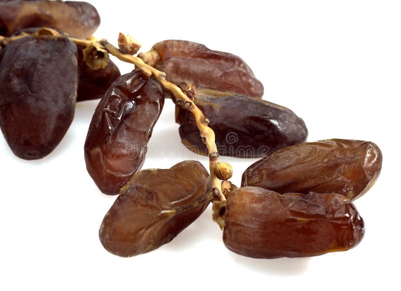 Datte sechee stock photo. Image of datte, palm, white - 169898142