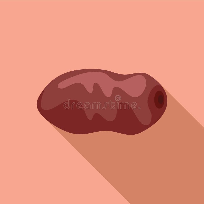 Dried Date Fruit Showing Its Stone Icon Stock Illustration ...
