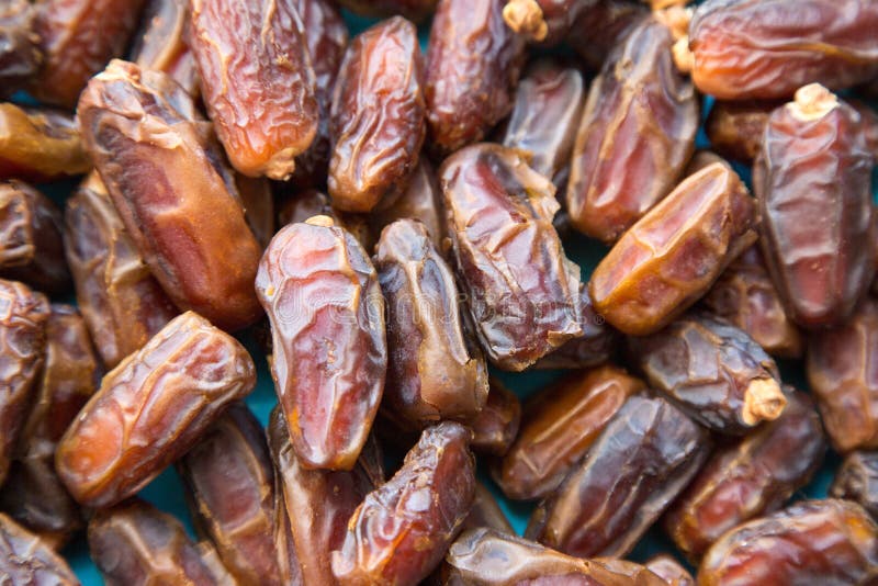 Dried date palm stock image. Image of brown, drupe, benedict - 58567689