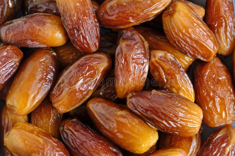 Closeup of Edible Snail with Shell Eating Green Leaf Stock Photo ...