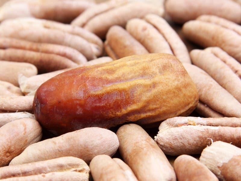 190 Date Stones Dates Stock Photos - Free & Royalty-Free Stock Photos ...