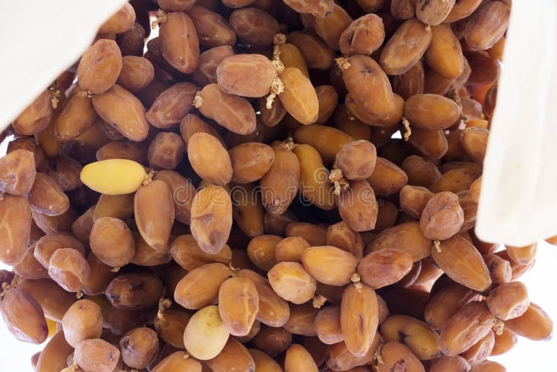 Dried dates fruit stock photo. Image of delicious, eastern - 84062602