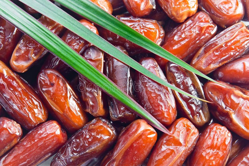 Dried dates stock image. Image of macro, brown, nutrition - 30066785