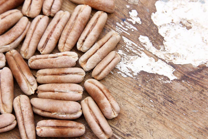 Dried dates stone stock image. Image of dried, stone - 73226665