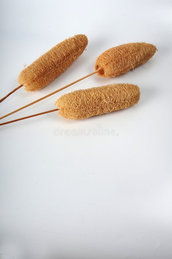 Dried Decor Sponges stock photo. Image of nature, health - 84760554