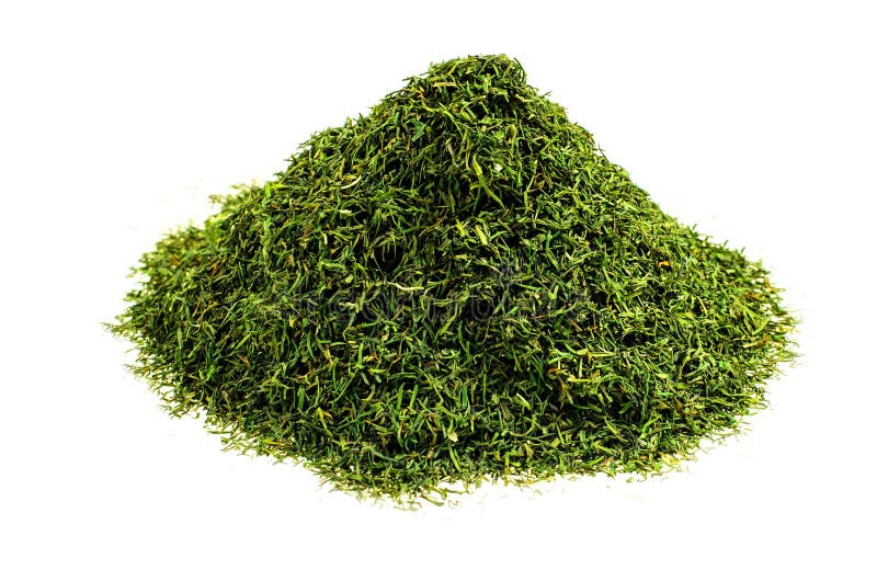 Dried Dill Pile Isolated on White Stock Photo - Image of herb, fresh ...
