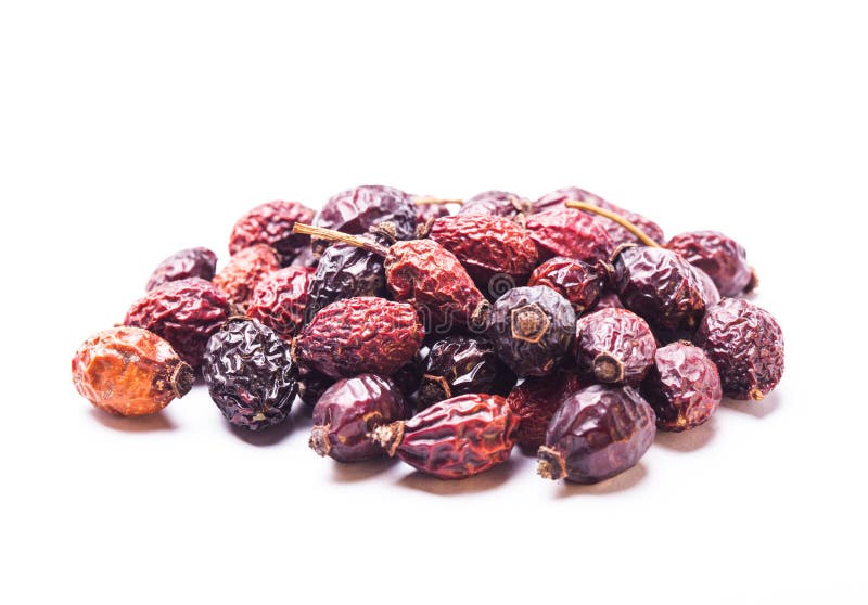 Dried Dog-rose Berries Isolated Stock Photo - Image of medicine ...