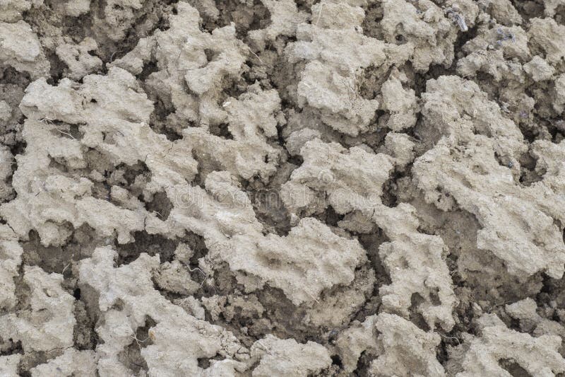 Dried and Drained Agricultural Soil. Ground Structure, Full-frame ...