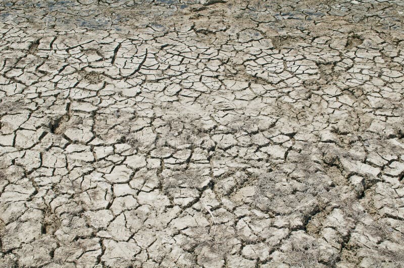 Dried earth. stock image. Image of detail, arid, extreme - 17368861