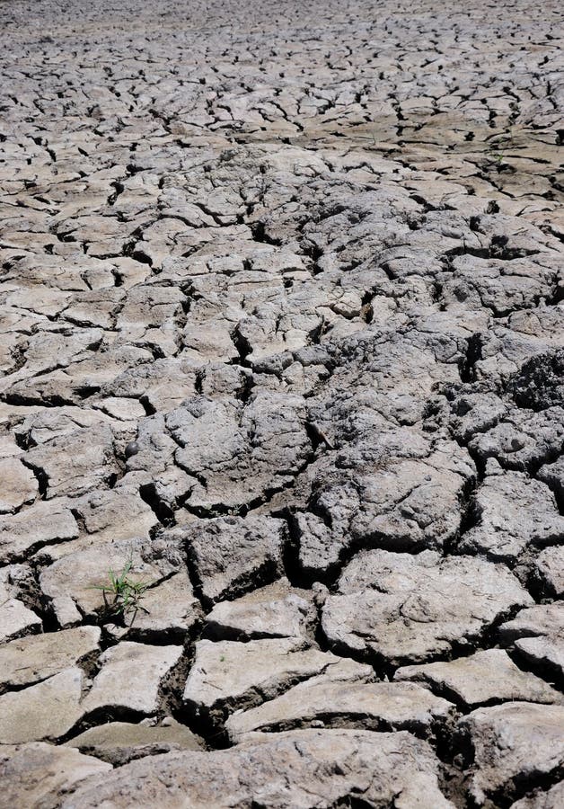 Dry cracked earth stock image. Image of drought, footprint - 63431219