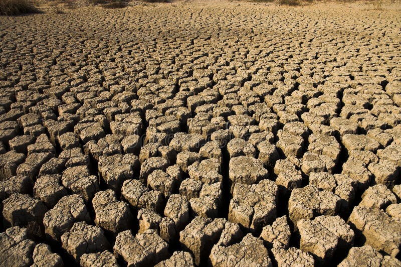Dried earth stock image. Image of drought, land, eart - 3455491