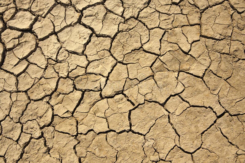Dried earth texture stock photo. Image of earth, cracks - 14669426