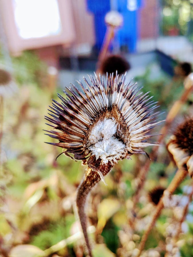 Fall Prevention Tips Stock Photos - Free & Royalty-Free Stock Photos ...