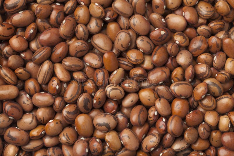 Dried Eye of the Goat Beans Stock Photo - Image of organic, preserved ...