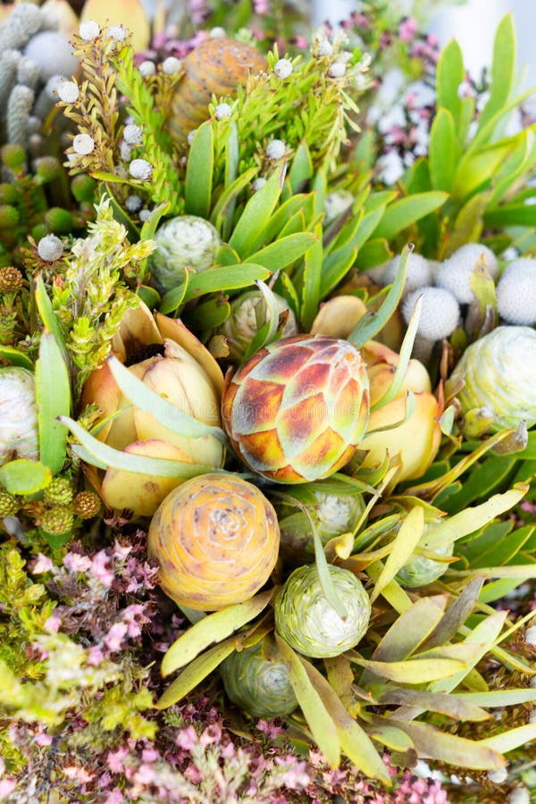 Dried fall flowers stock photo. Image of blossom, floral - 150600872