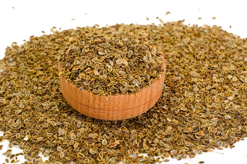 Dried Fennel Seeds stock image. Image of color, fruits - 69188963